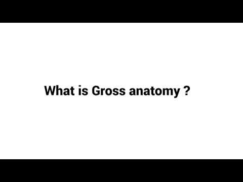 What is Gross anatomy?