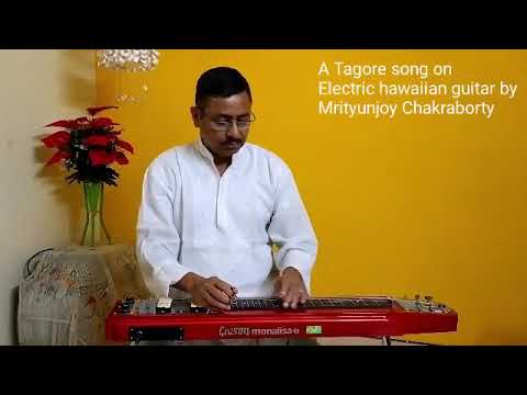 pagla hawa badol dine | Rabindra sangeet | Electric hawaiian guitar | Mrityunjoy Chakraborty |