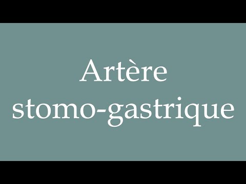 How to Pronounce ''Artère stomo-gastrique'' (Stomo-gastric artery) Correctly in French