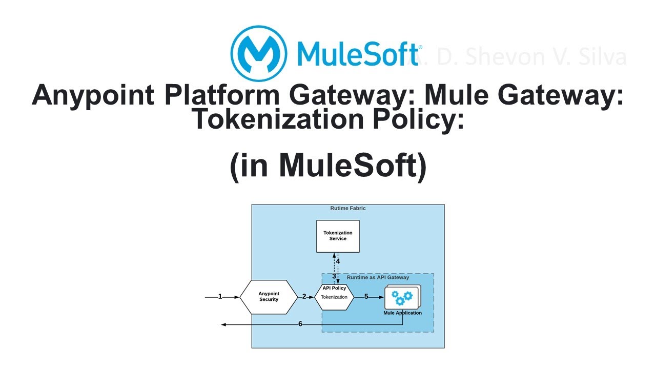 Anypoint Platform Gateway: Mule Gateway: Tokenization Policy:  (in MuleSoft)