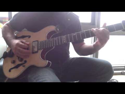 Equator Instruments Hollowbody Electric Guitar | Reverb