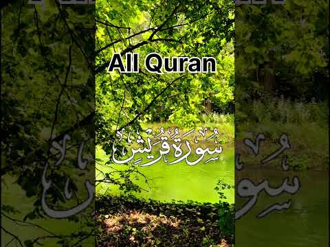 surah Quraishwith urdu translation||surahQuraish tarjuma || Quran Urdu translation.