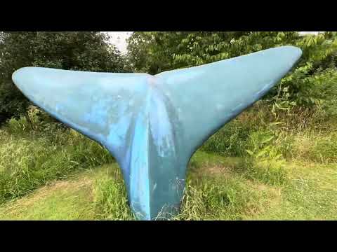 Nature in Art Gloucester
