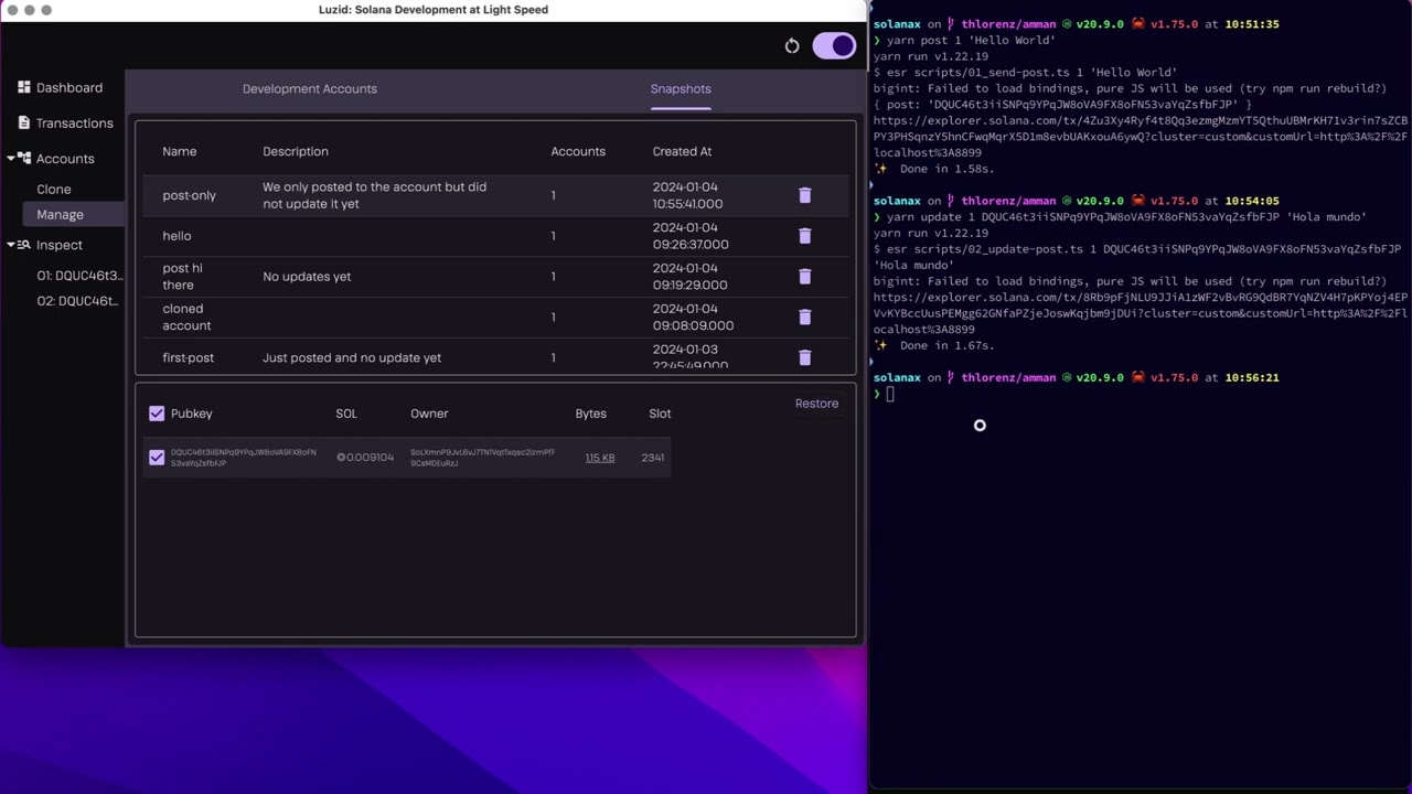 Luzid: Solana Test Validator on Steroids - First Prototype