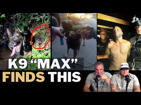 You Won't Believe What This Police Dog Found!