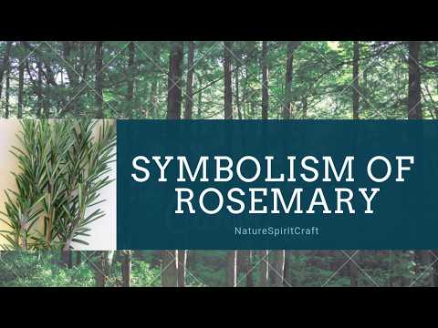 Symbolism of Rosemary