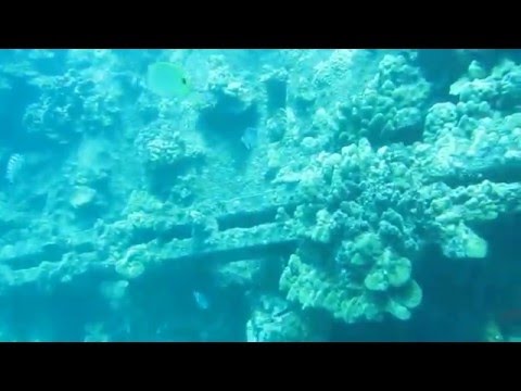 Pipe at Electric beach Oahu
