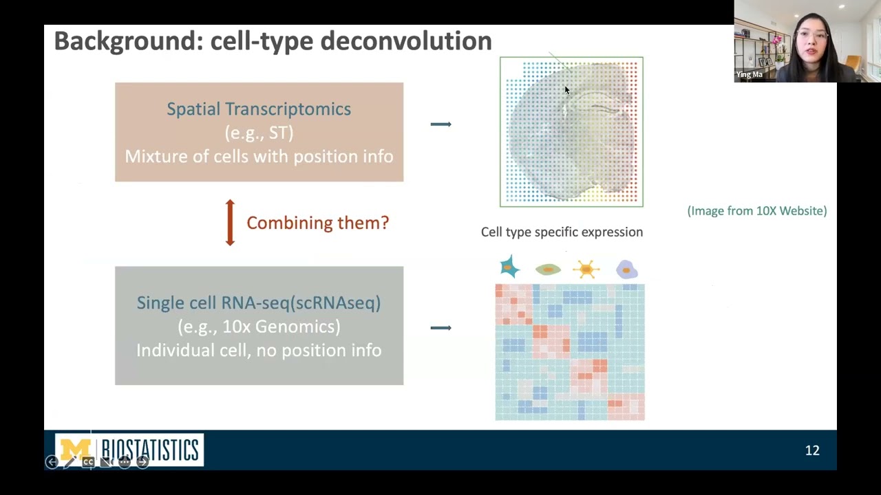 Spatially informed cell-type deconvolution for spatial transcriptomics