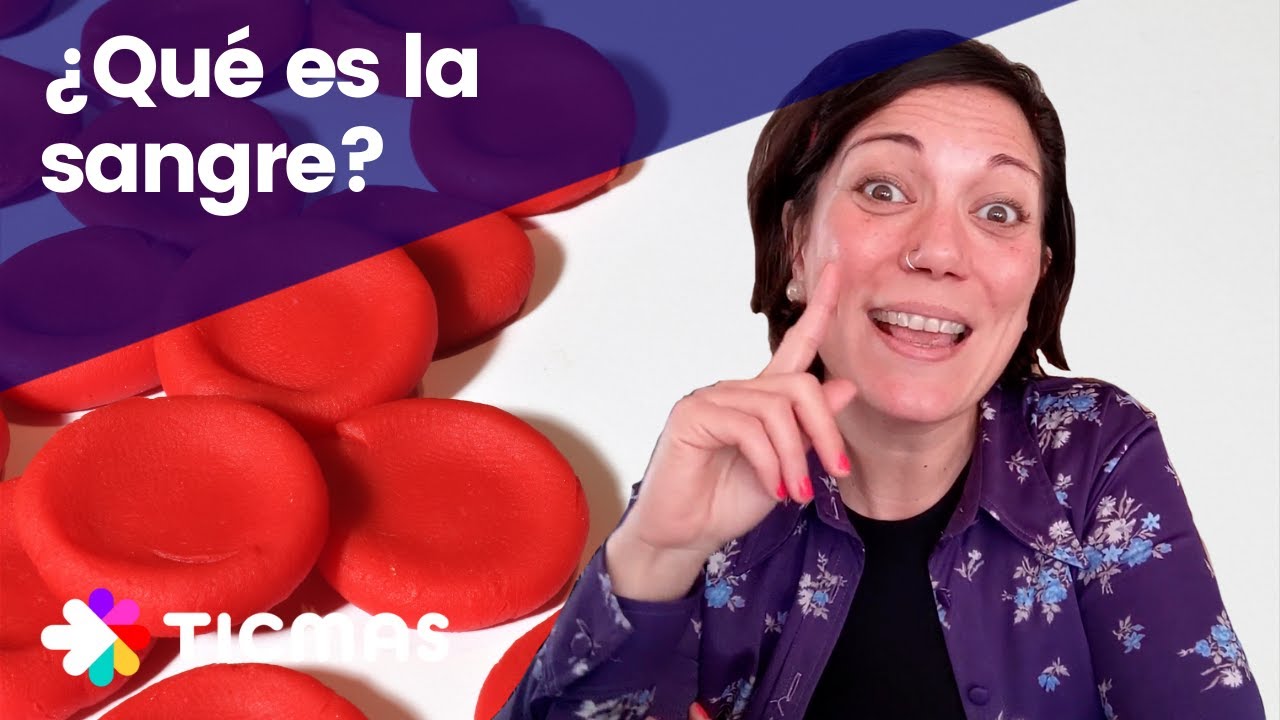 ¿QUÉ ES LA SANGRE? Función y Componentes