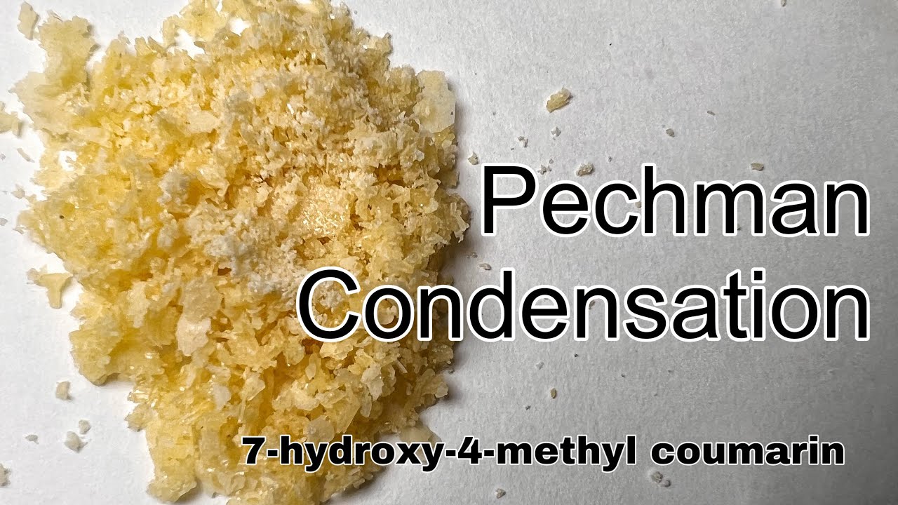 7-hydroxy-4-methyl coumarin : Organic Synthesis ( Pechman Condensation )