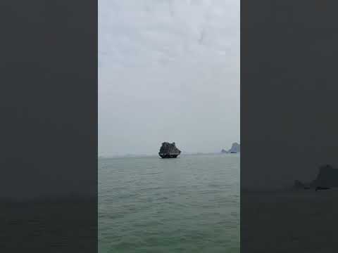 #vietnam #vietnamese #trending #viral #shorts #halongbaycruise #halogbaytravel