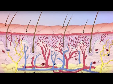 Polymorphous Light Eruption - Mayo Clinic