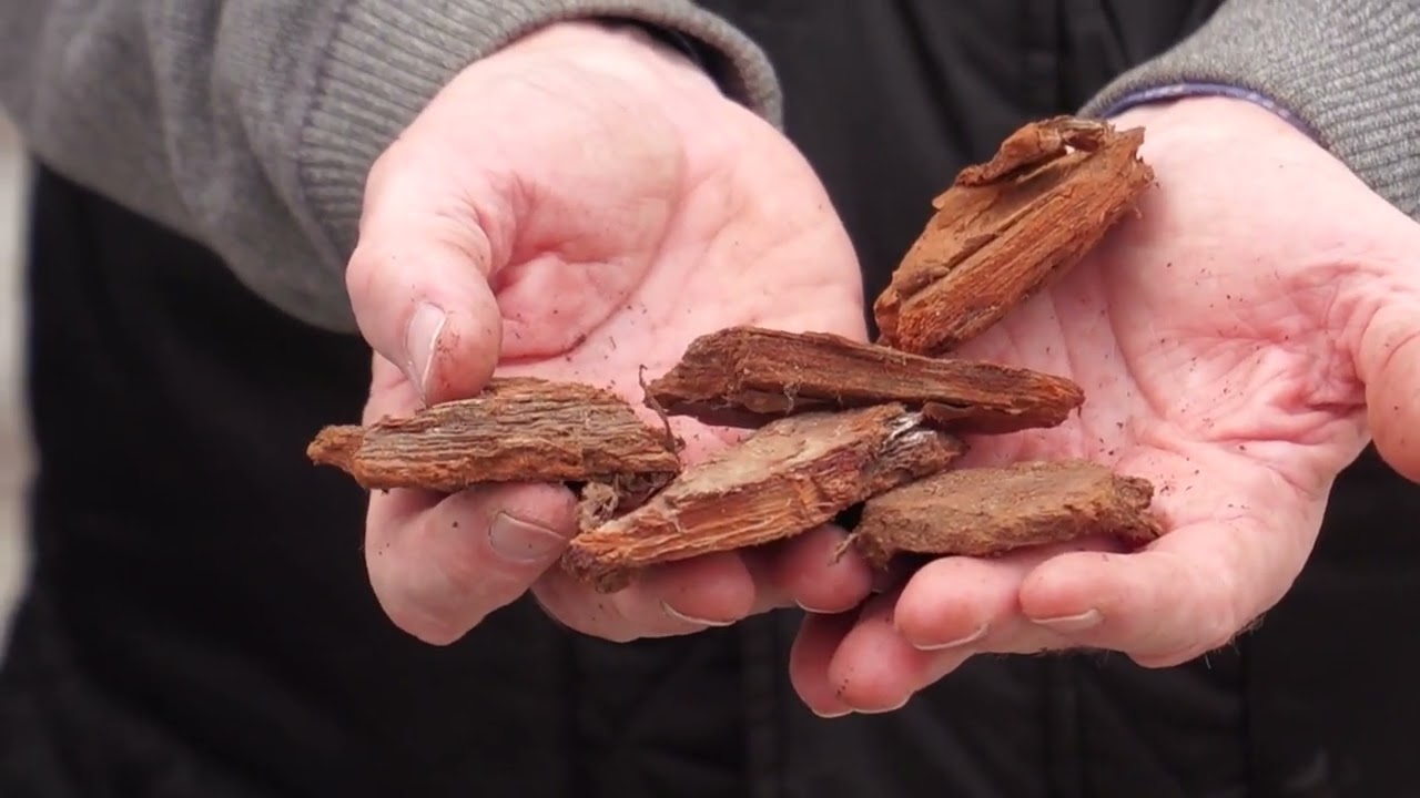 Richard Weber from Springhouse Gardens discusses different types of mulch