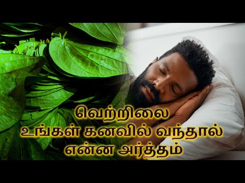 வெற்றிலை உங்கள் கனவில் வந்தால் என்ன அர்த்தம் | Betel in your dream meaning | D J Tamil