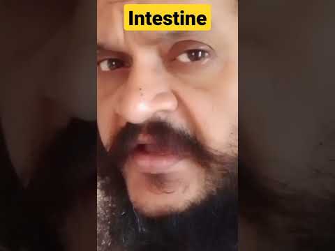 Intestine: Correct Pronunciation