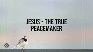 Jesus - The True Peacemaker | Audio Reading | Our Daily Bread Devotional | April 23, 2024 - book ...