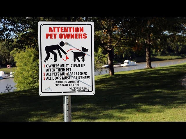 How Clean Your Dogs Poop