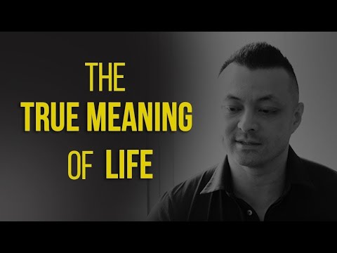 The True Meaning of Life - David Tian's Personal Journey (So Far)