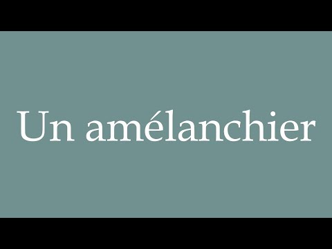 How to Pronounce ''Un amélanchier'' (A serviceberry) Correctly in French
