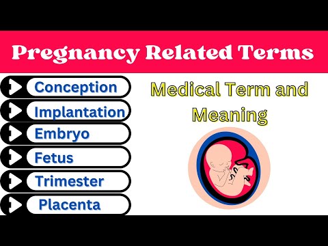 Pregnancy Related Terms and Meaning | Medical Terminology Used in Hospital |