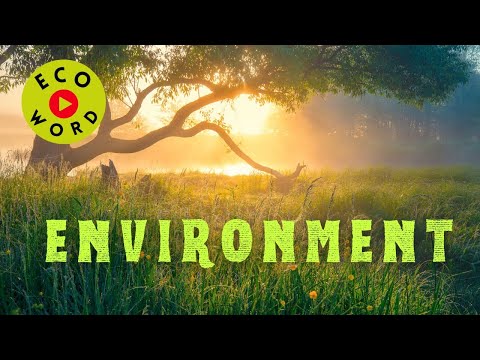 Ecoword  ENVIRONMENT| Ecodictionary Vidtionary| Babul ngo | Environmental Dictionary |