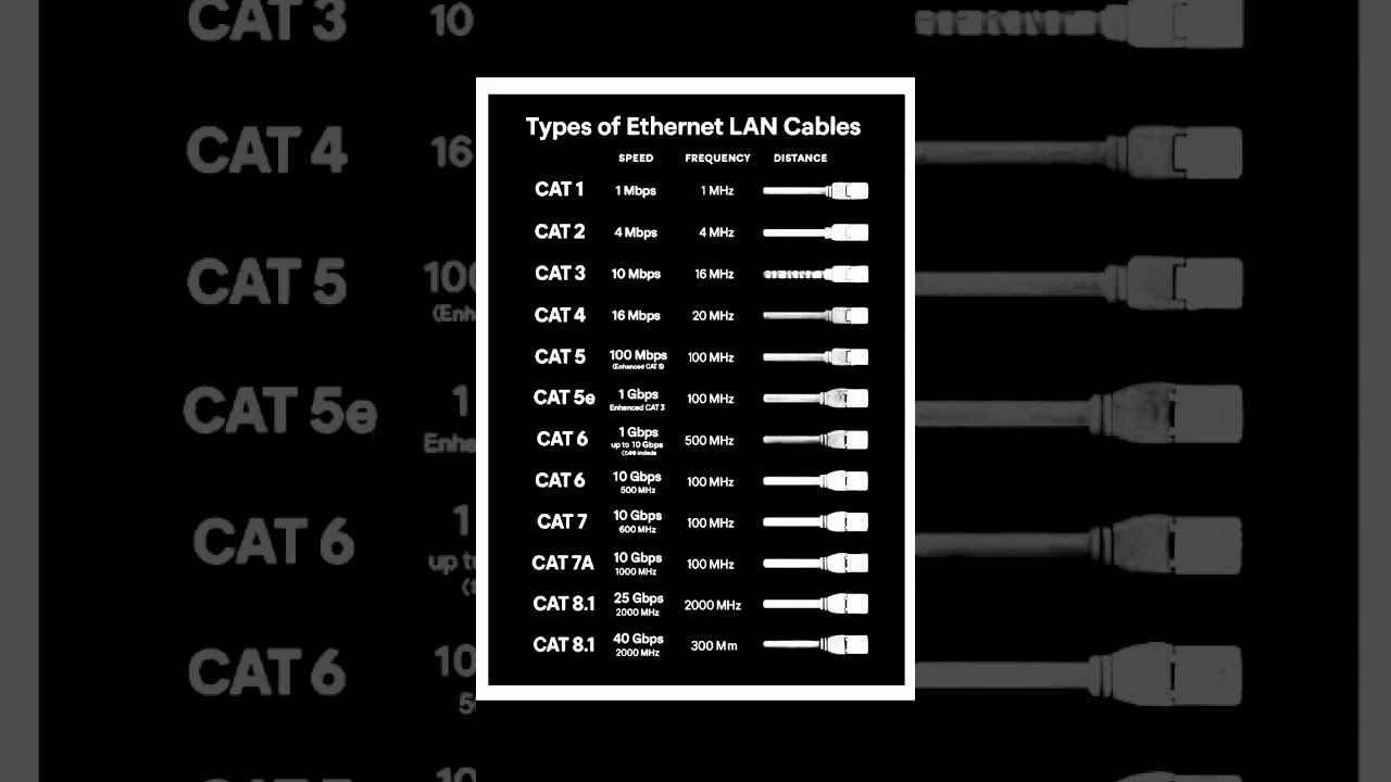 Types of Ethernet LAN Cables | Cat 5 vs Cat 6 vs Cat 7 vs Cat 8 Explained