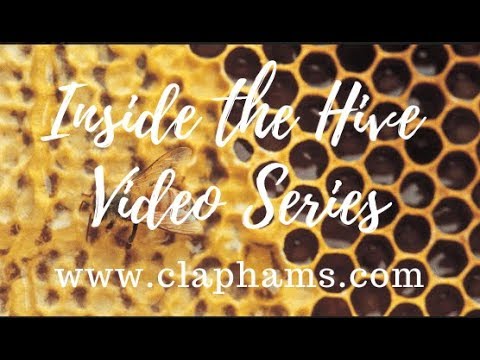 Inside the Hive Spanish Series: Clapham's Beeswax Salad Bowl Finish