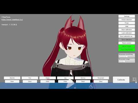 Face rig of model on vseeface