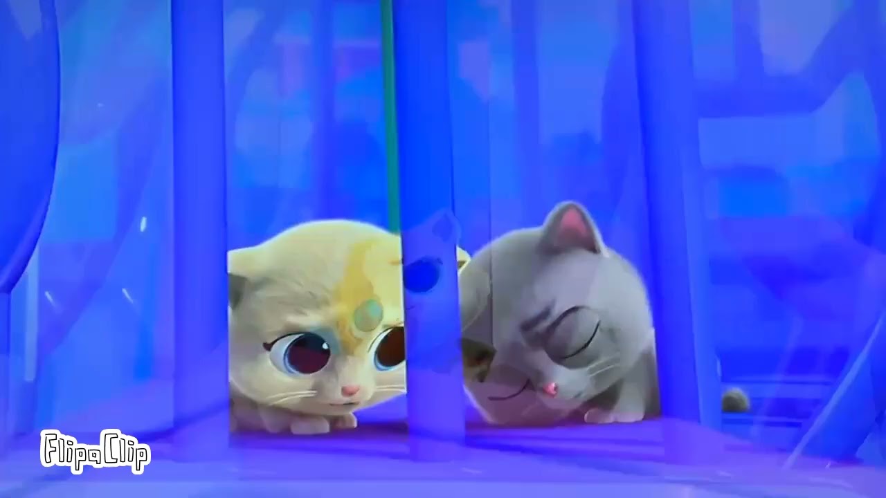 Superkitties cats crying