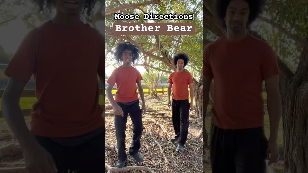 Brother Bear - Moose Directions