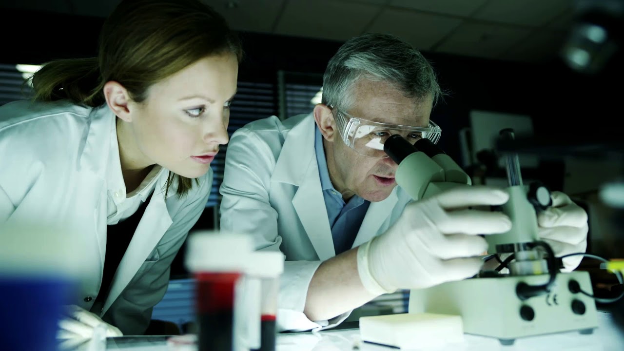 The Value of the Lab