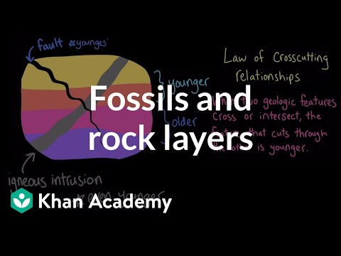 Fossils and rock layers (video) | Khan Academy