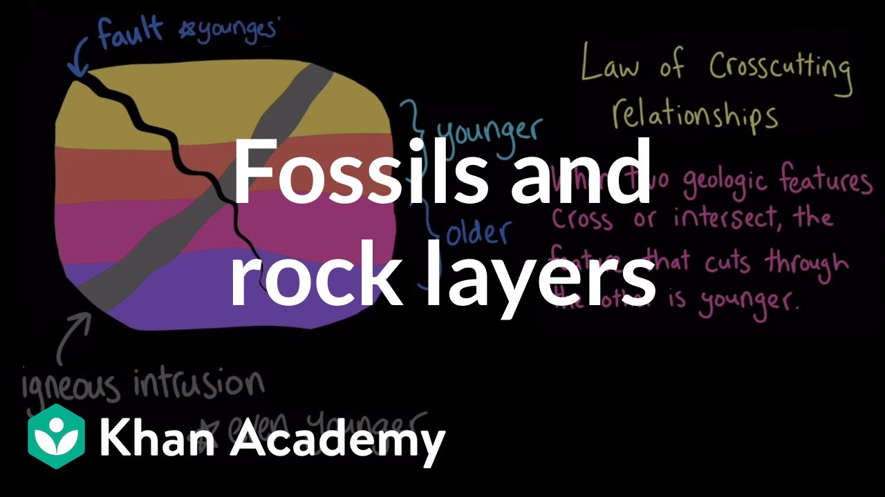 Fossils and rock layers | The geosphere | Middle school Earth and space science | Khan Academy