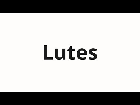 How to pronounce Lutes