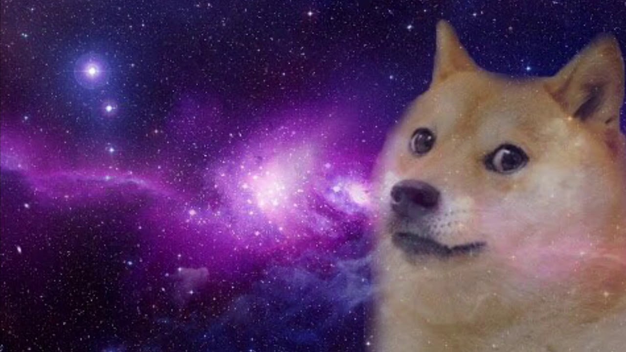 Doge in space
