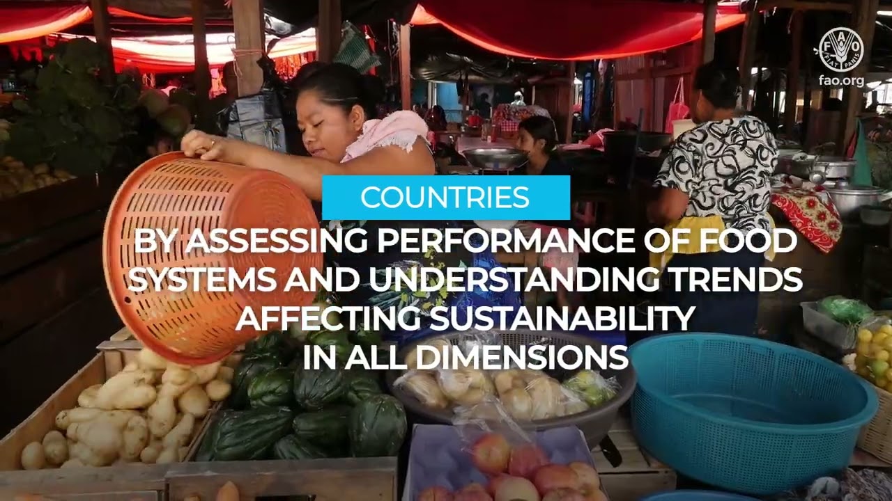 Innovation in governance to transform agrifood systems