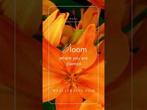 How will you bloom today?