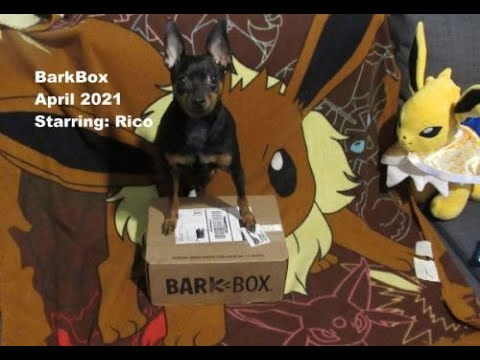 BarkBox: April 2021