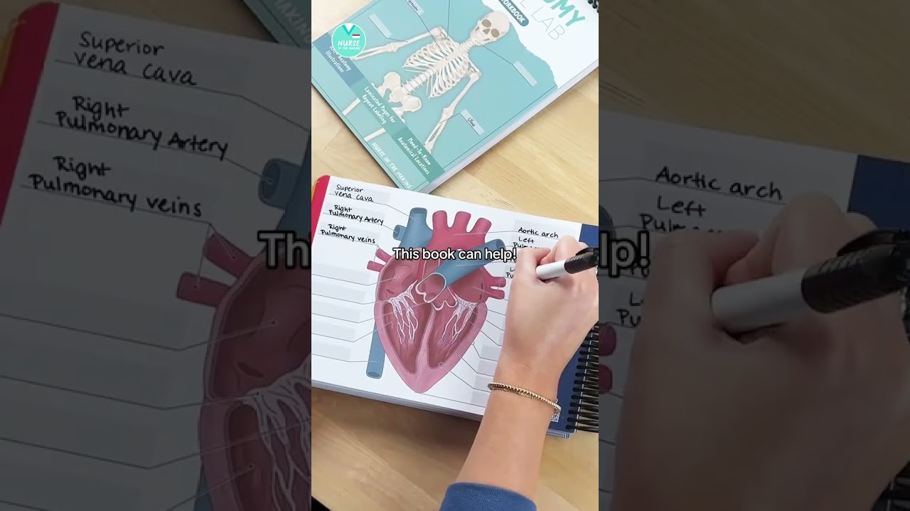 The Anatomy Label Lab Workbook can help! #RN #BSN #futurenurse