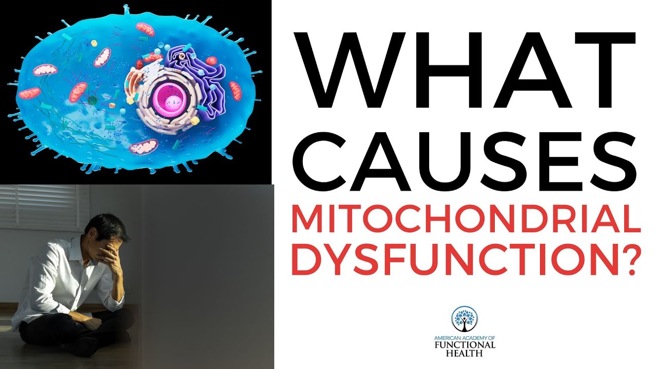 What Causes Mitochondrial Dysfunction?
