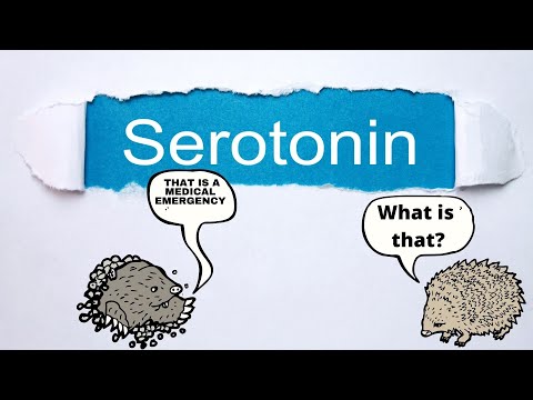 What YOU Should KNOW about Serotonin Syndrome #PMHNP EXAM REVIEW #serotonin
