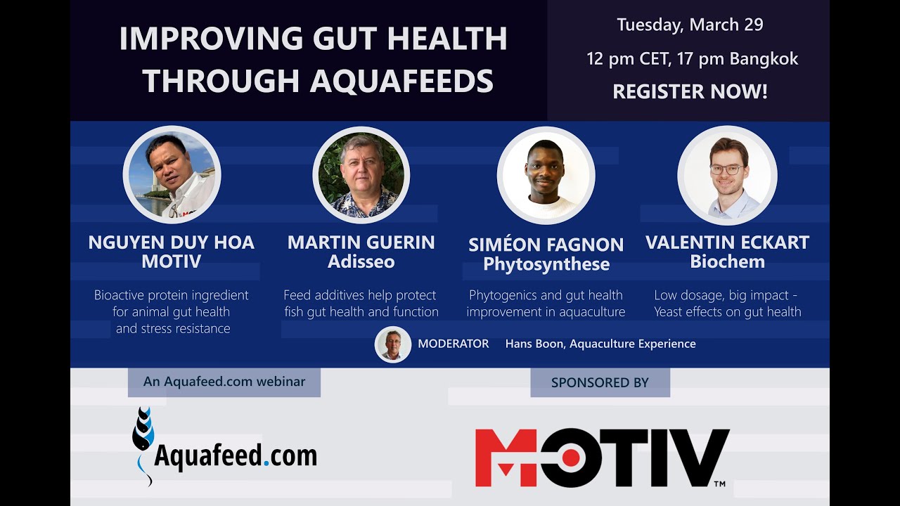 Aquafeed.com | Improving gut health through aquafeeds
