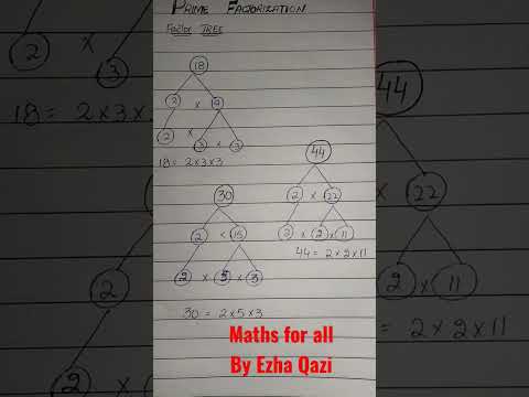 Prime Factorization||Factor tree||