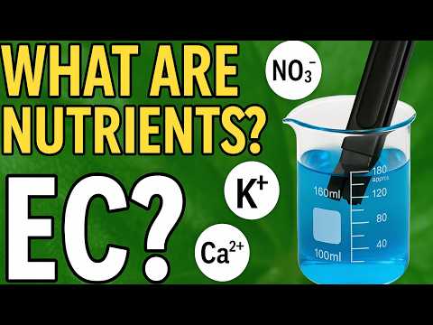 What Are Nutrients? And What Does EC Actually Measure?