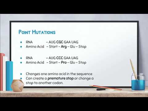 Biology: Video 5-4: DNA Mutations