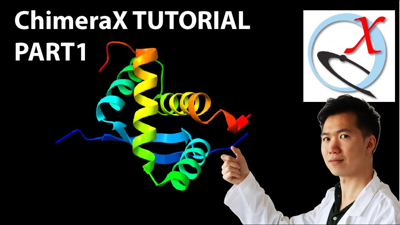ChimeraX Tutorial | Opening New File | 3D Protein