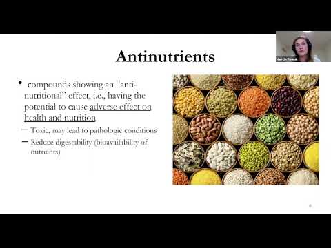 Mari-Liis Tammik, MSc: Optimizing oat protein using fermentation and extrusion