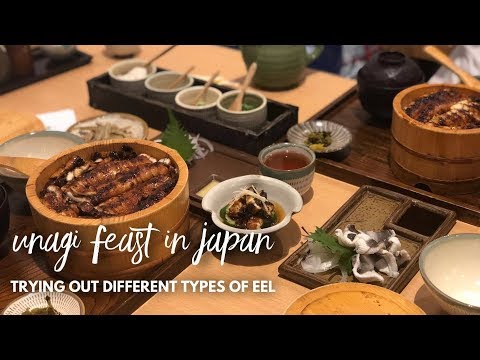 WHERE TO FIND THE YUMMIEST UNAGI IN JAPAN || TRYING OUT DIFFERENT TYPES OF UNAGI (EEL - ζ₯ζ¬ι°») JAPAN