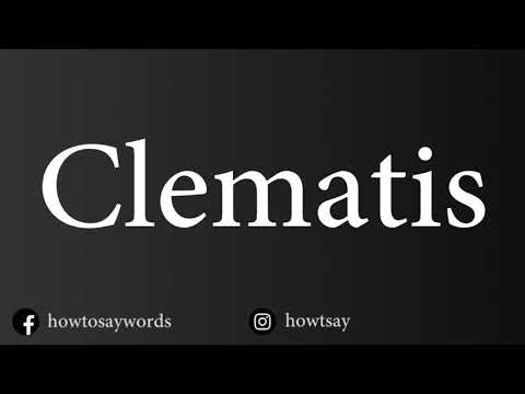 How To Pronounce Clematis