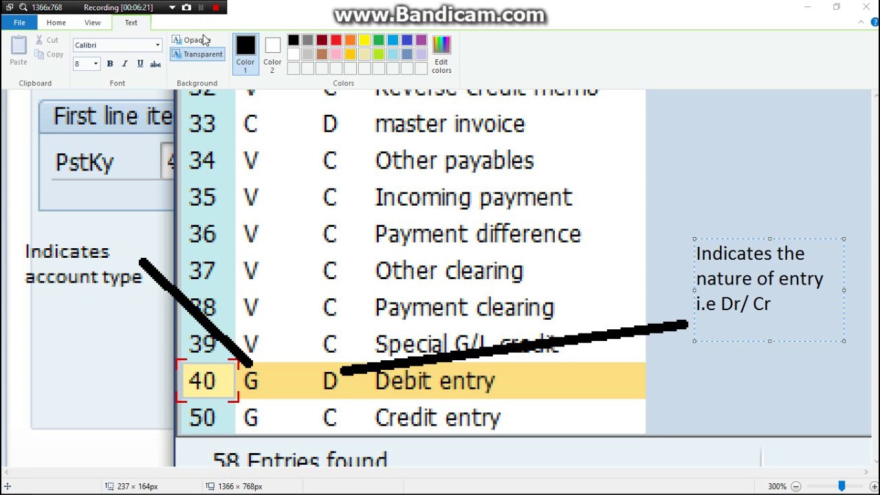 SAP Posting keys Explained in Detail